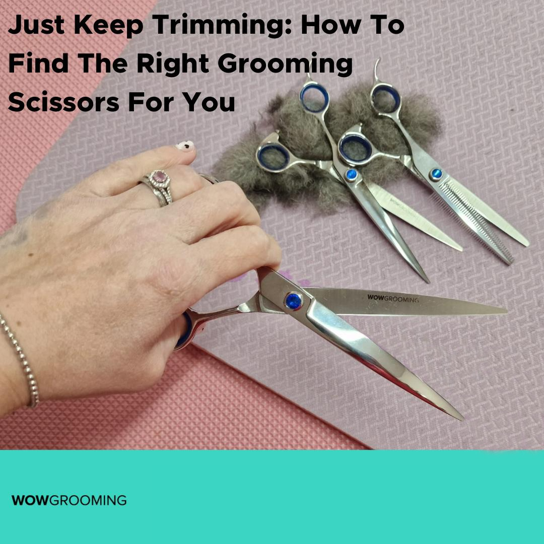 Just Keep Trimming: How To Find The Right Grooming Scissors For You ...